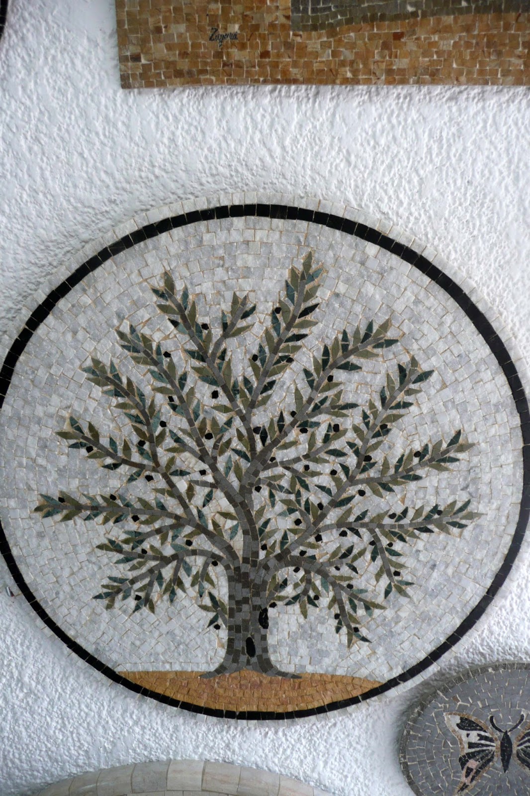 CULTURE et PATRIMOINE DE TUNISIE EN IMAGES- MOHAMED HAMDANE-ثقافة وتراث ...